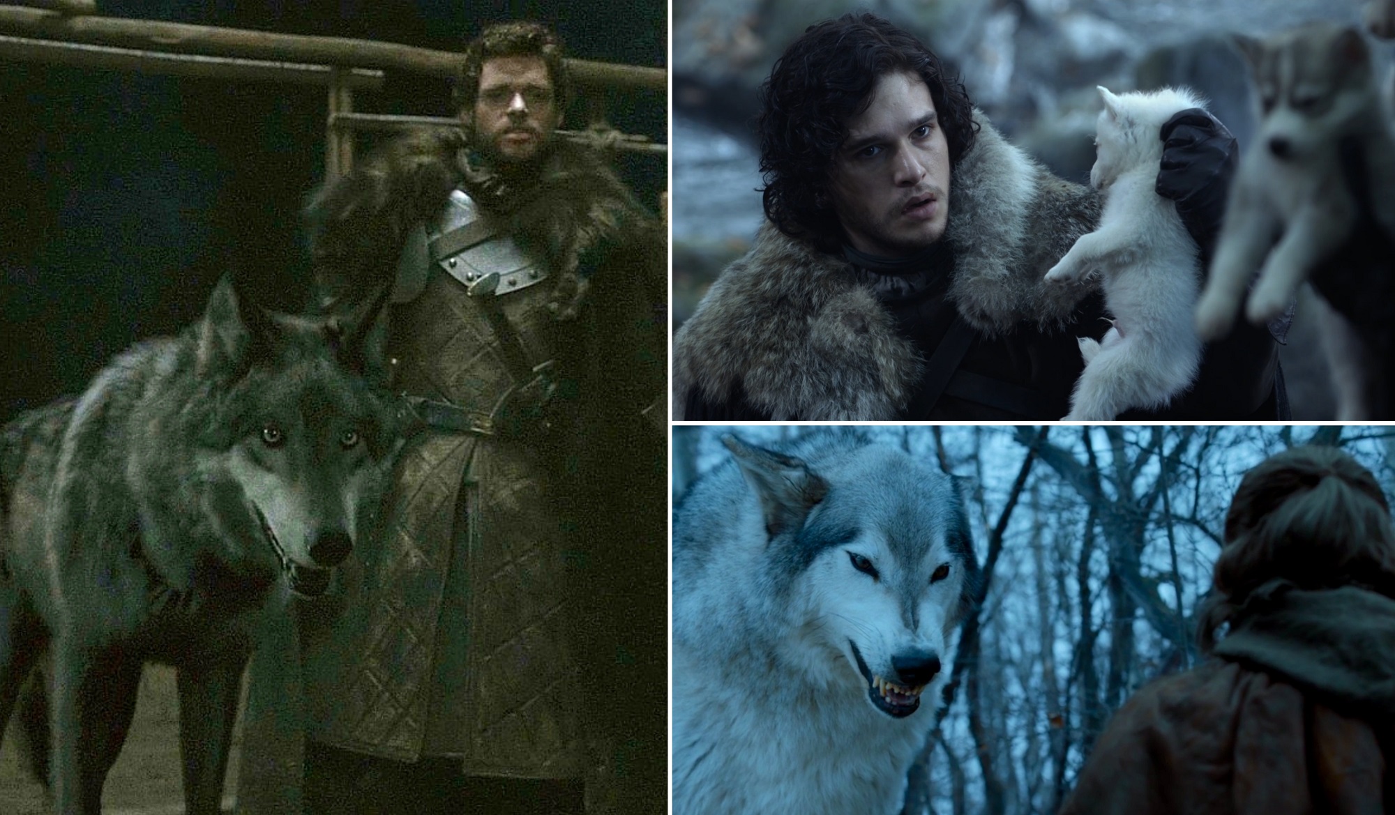 Game Of Thrones Survival Guide: 20 Tips That Will Save Your Life In The ...